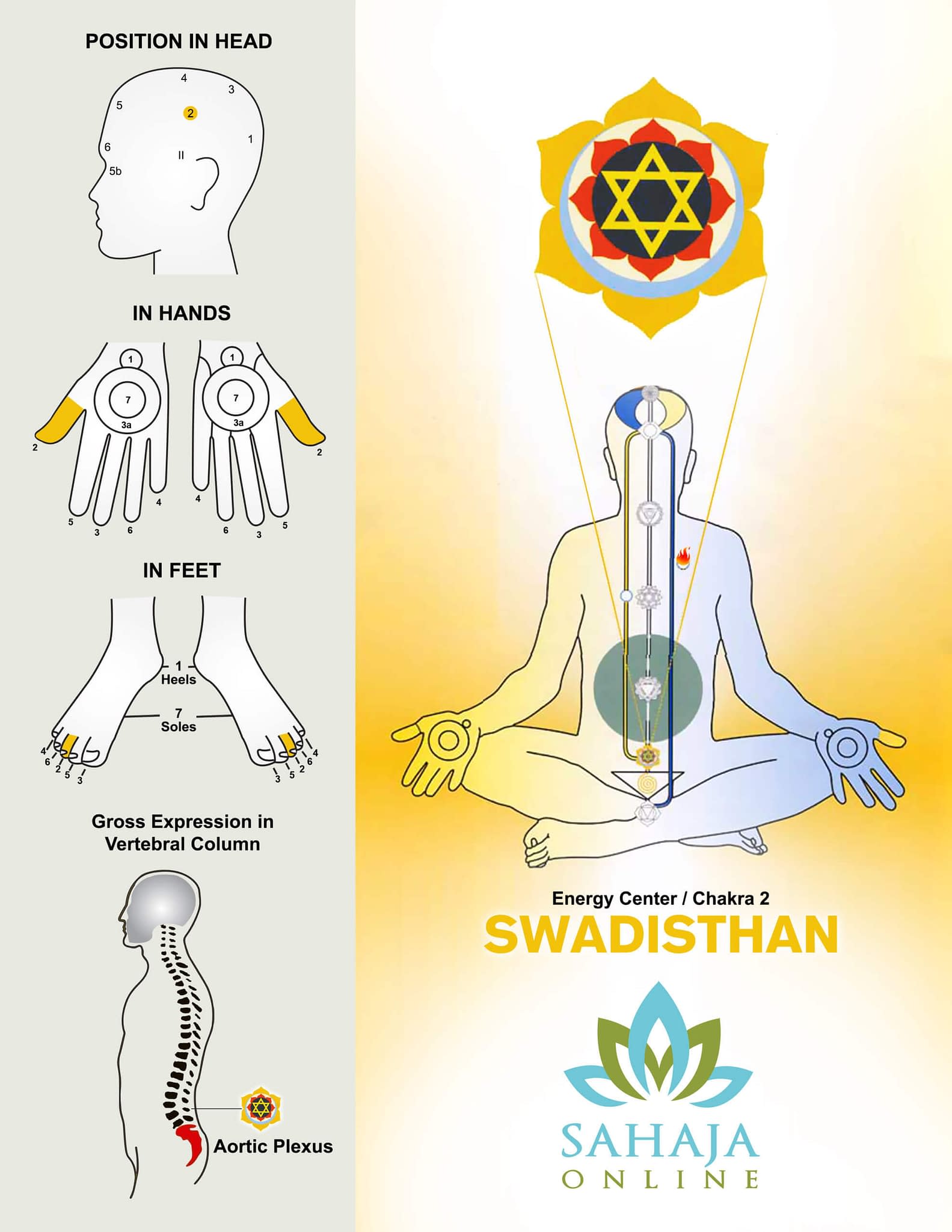 Swadishtana chakra - the power behind magnificent creations - Guided ...